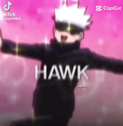 Hawk Tuah (gojo) #anime - YouTube