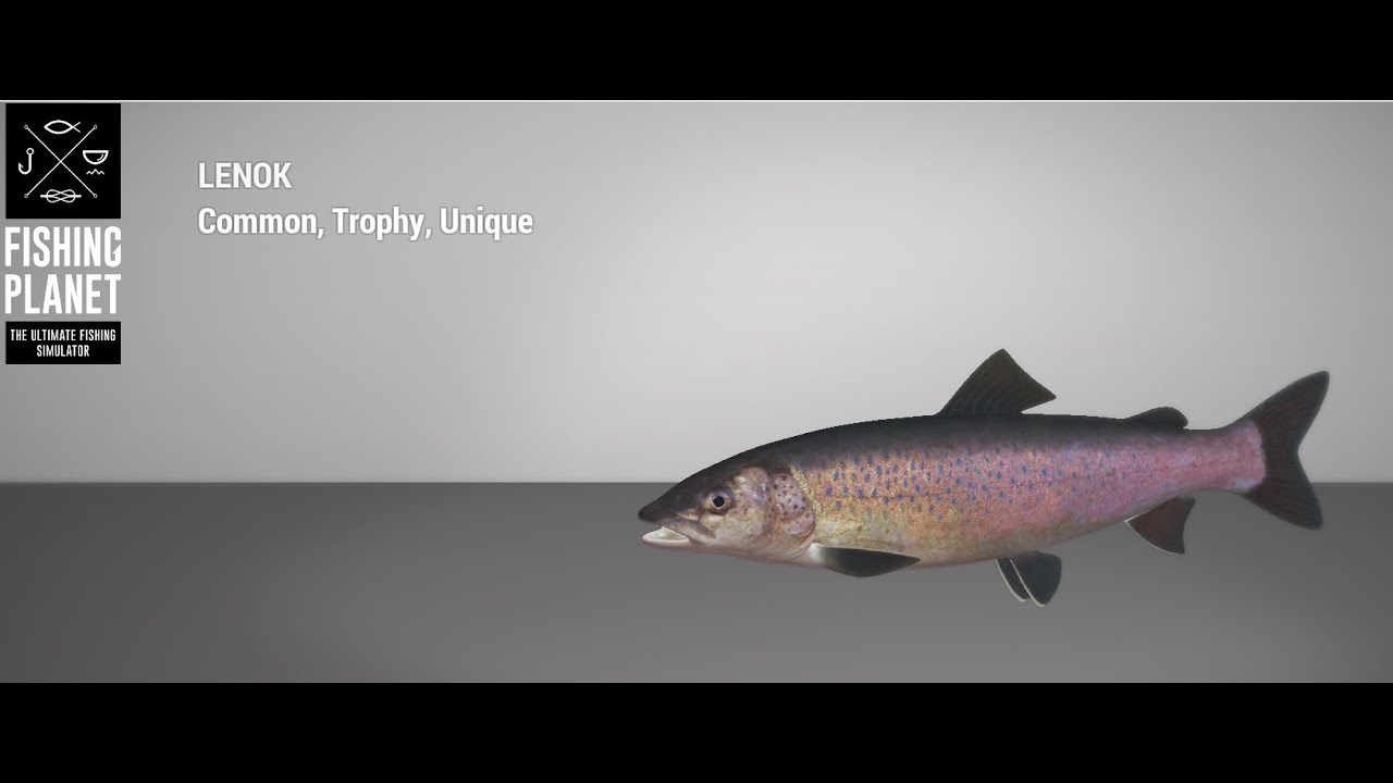 Fishing Planet - Selenge River - Unique - Lenok - Bait - YouTube