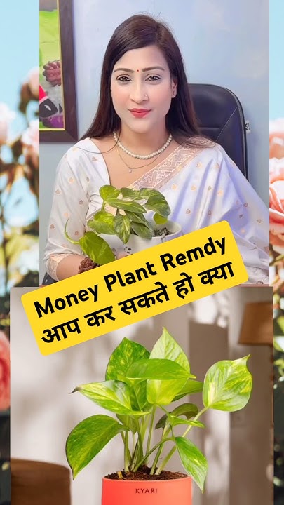 Money Plant Remdy 🤬🤬आप कर सकते हो क्या Ft Bhawna Upadhyay #astrology #podcast #shots - YouTube