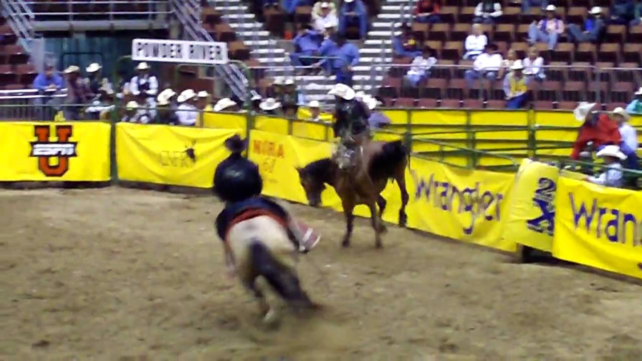 Rodeo: Bronco - YouTube