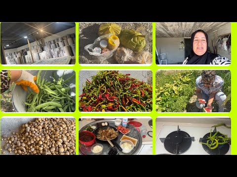BAHÇEMİZİ BOZDUK😢SEZONUN SONLARI❌AYHANIM KARPUZ KESTİ❌ANNEME❌DERMANA❌KAYNANAMA GİTTM❌MARKETTEN MAMAK