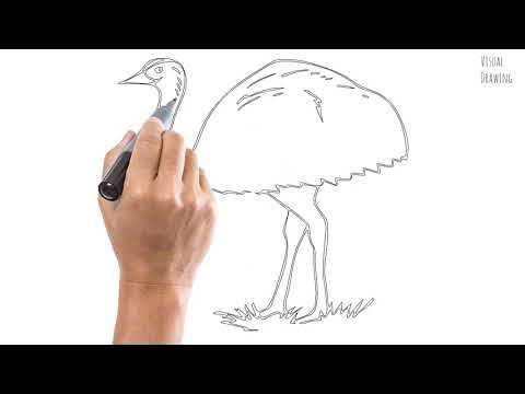 Emu Bird Sketch Drawing Easy, How To Draw Simple Emu Bird Cartoon Step ...