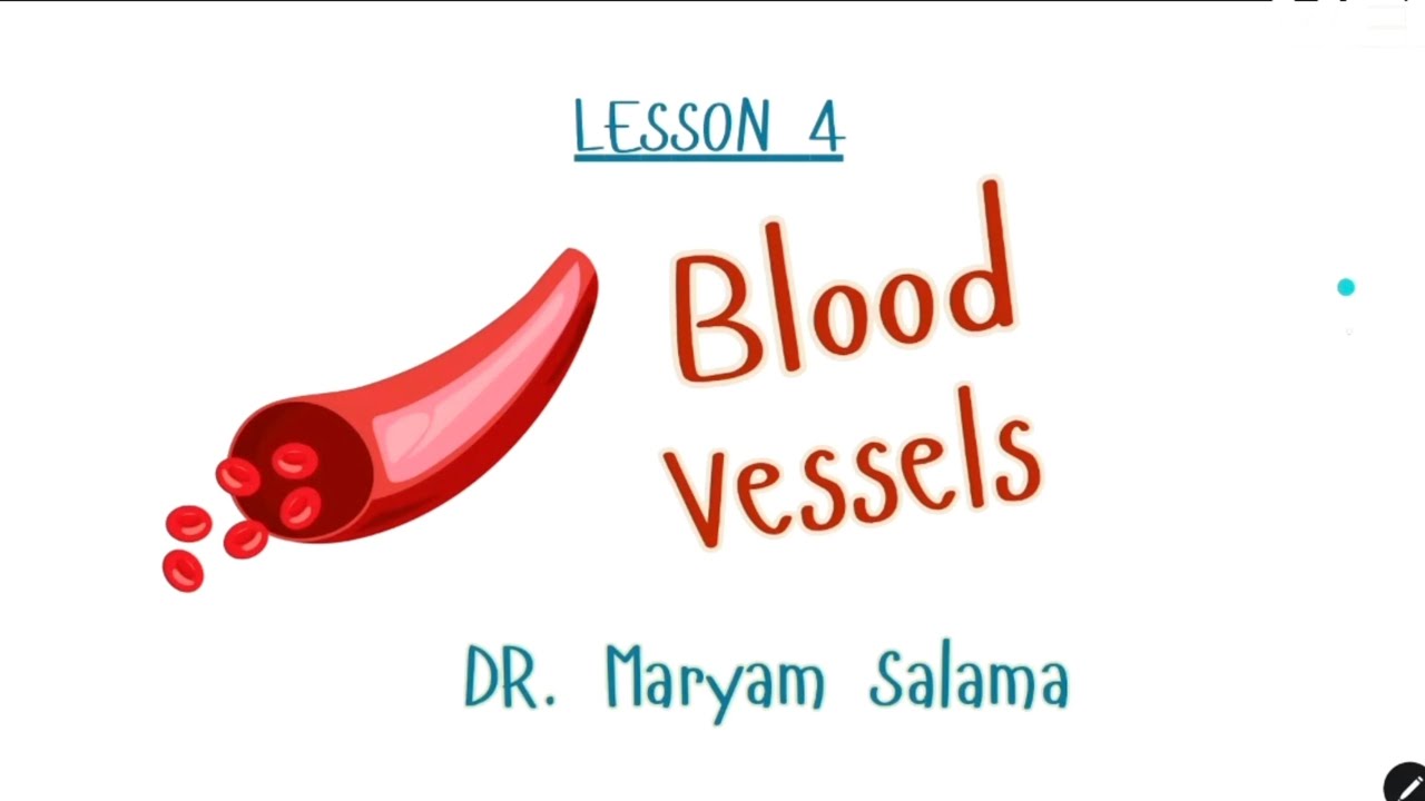 Artery Histology Animated Part 1 - YouTube