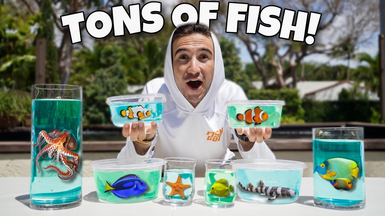 I Bought EVERY AQUARIUM FISH from the Fish Store!! *big plans* - YouTube