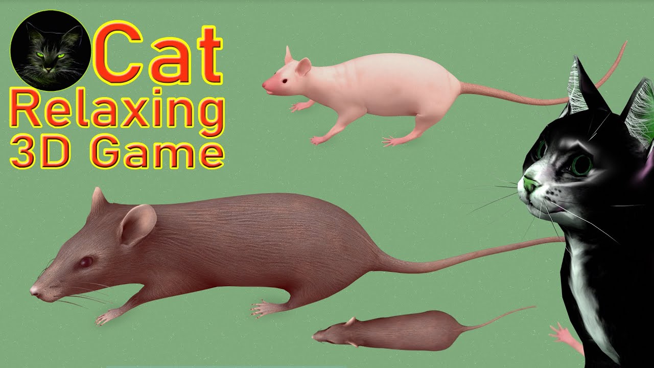 Video For Cats - Rats - Cat Games, Catching Rat Video for Cats - YouTube