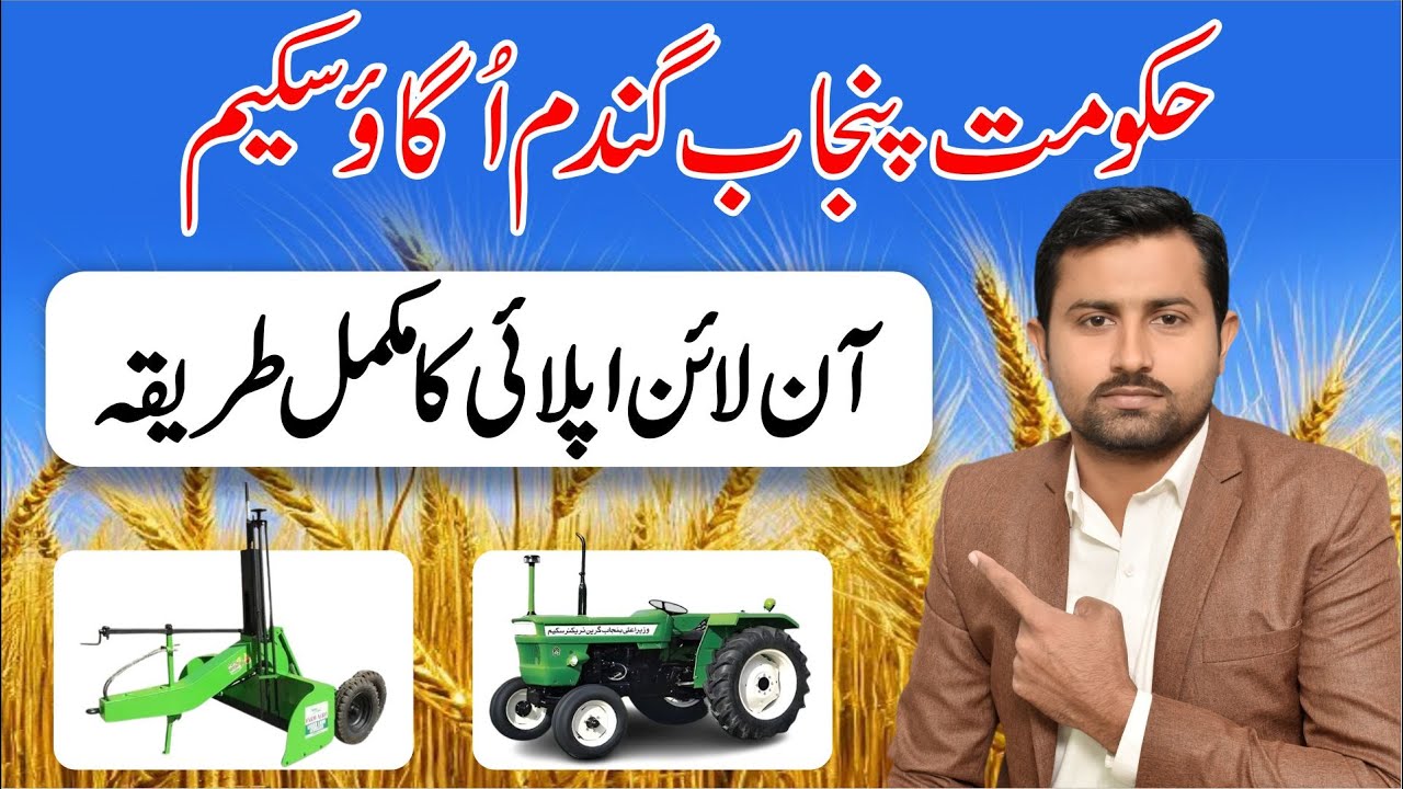 How to Apply Online for Wheat Scheme || Wheat Qurandazi | Green Tractor ...