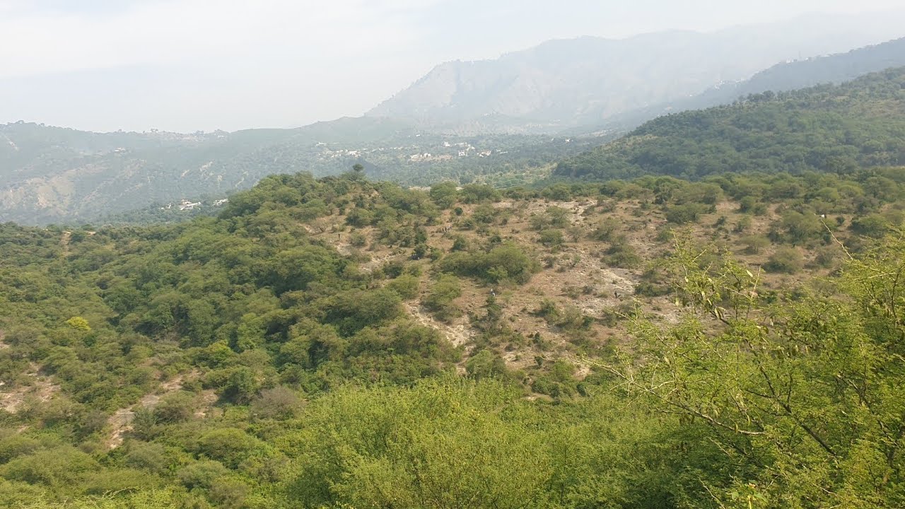 Shikar hunting wild bour part 2 - YouTube