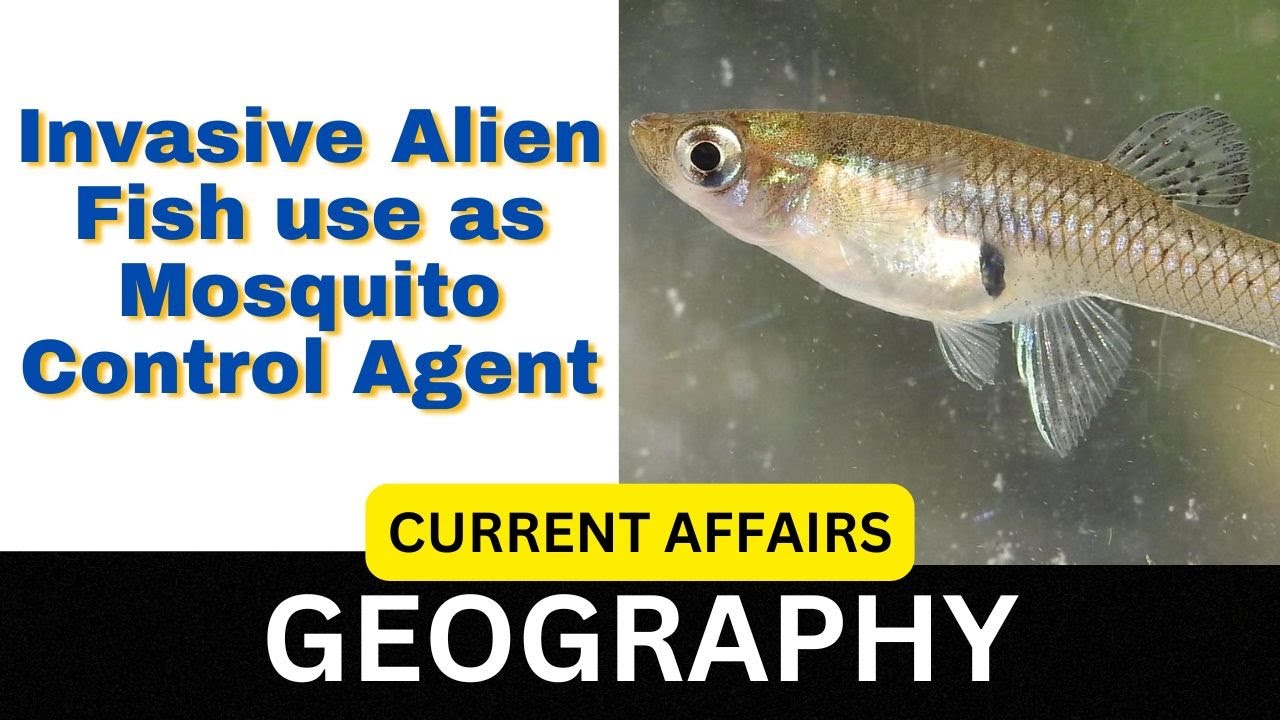 Invasive Alien Fish use as Mosquito Control Agent | UPSC Current ...