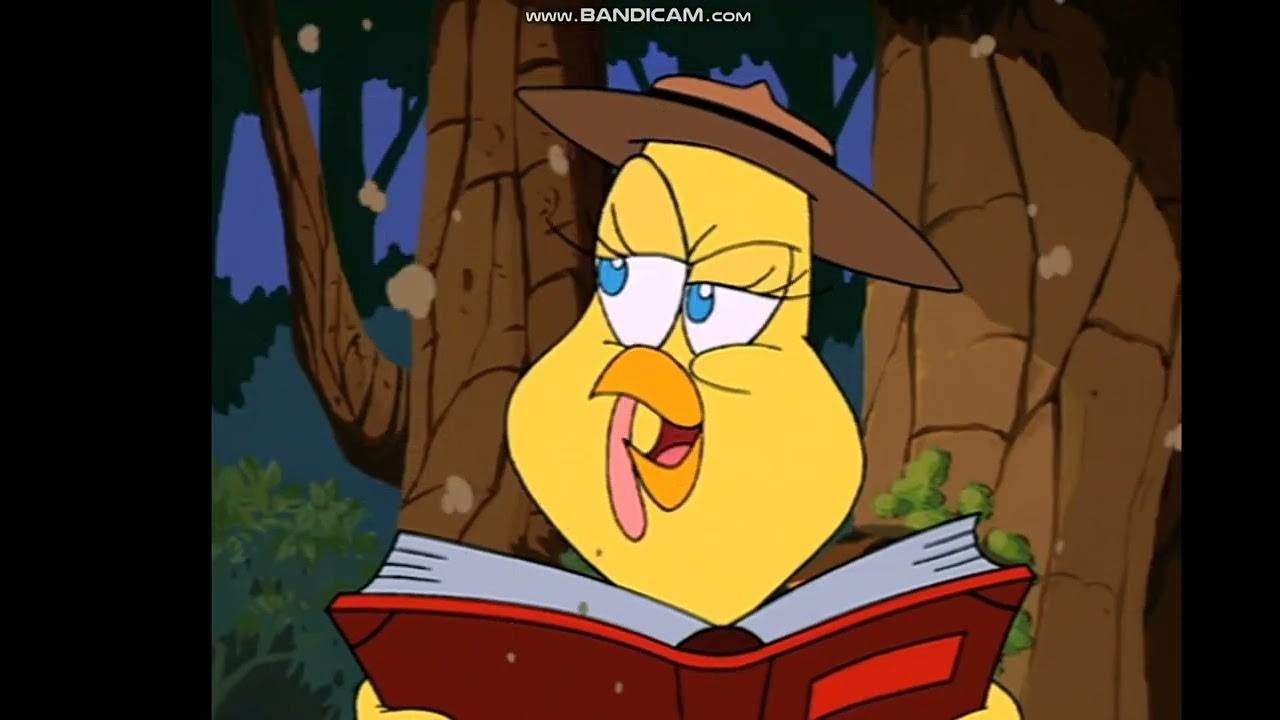 Chicken Scouts - YouTube