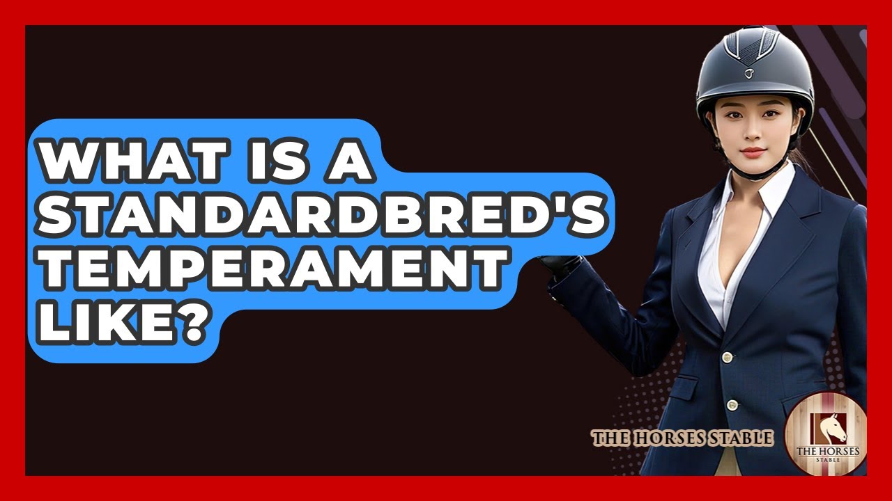 What Is A Standardbred's Temperament Like? - The Horses Stable - YouTube