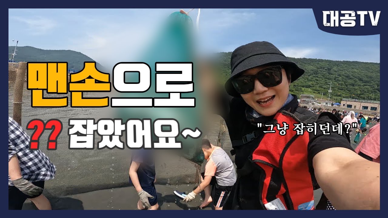 통영 한산도에서 맨손으로 물고기 잡기 해본사람 Youtube