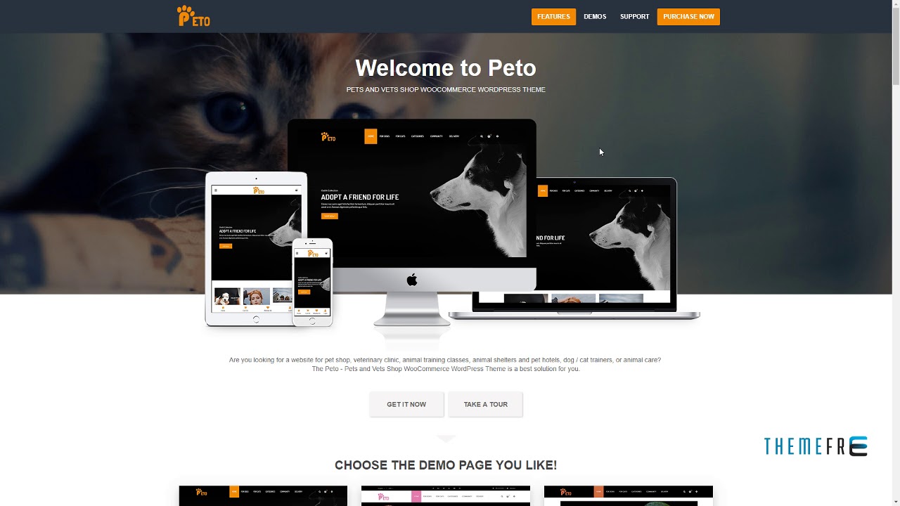 Peto - Pets and Vets Shop WooCommerce WordPress Theme - YouTube