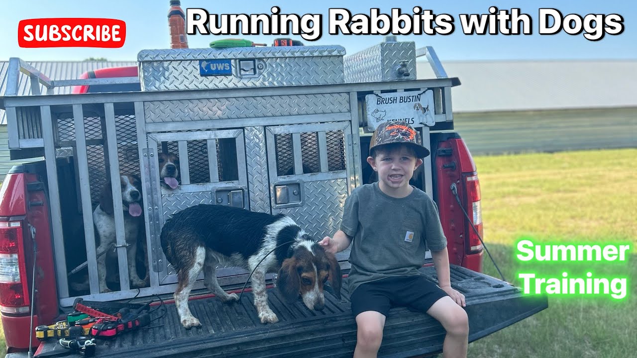 Running Rabbits With Dogs | 2024 Summer Training | Eastern NC - YouTube