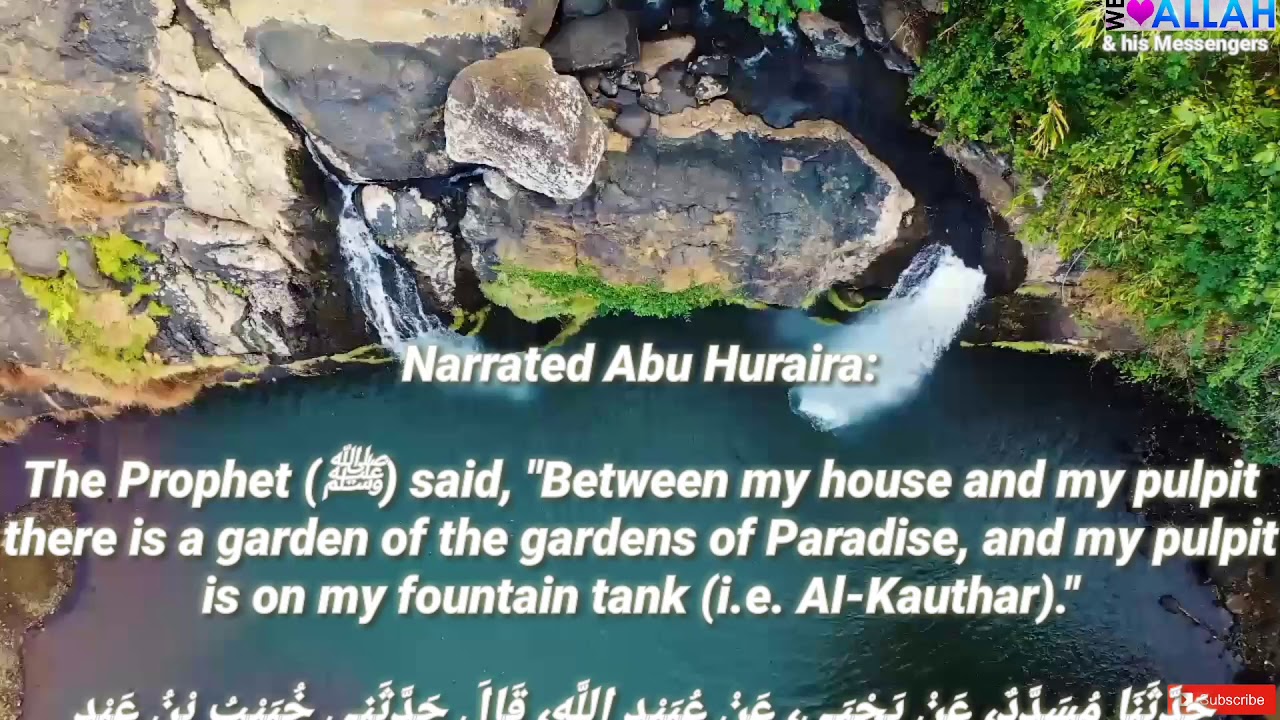 Daily Hadith 1079 (Garden of Paradise on Earth) - YouTube