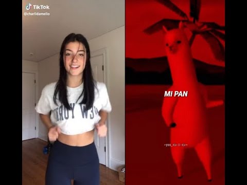 Mi Pan Su Su Sum TikTok Dance Compilation - YouTube
