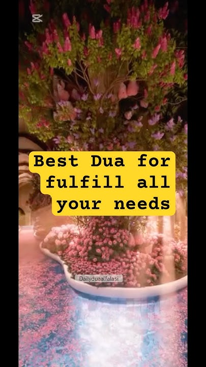 Best Dua for all your needs ask Allah forgiveness#dua #islam #authenticduas #sunnah #quran# ...