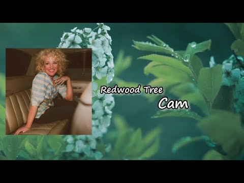 Cam - Redwood Tree Lyrics - YouTube