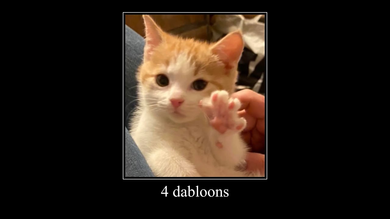 10 minutes of tiktok dabloons audio with occasional pictures - YouTube