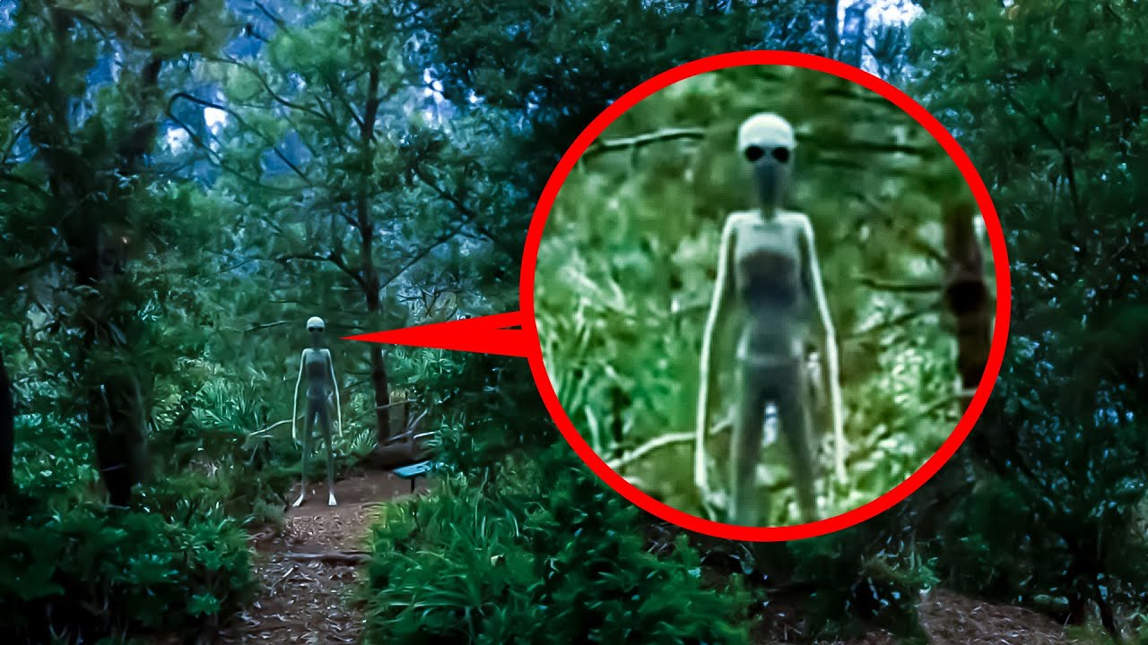 11 Mysterious Creatures Caught On Camera You Should Avoid Watching - YouTube