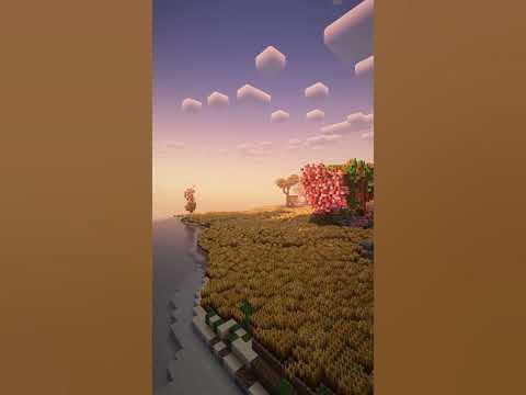 Complimentary Shaders vs BSL Shaders #minecraft #shaders #bettyboop # ...