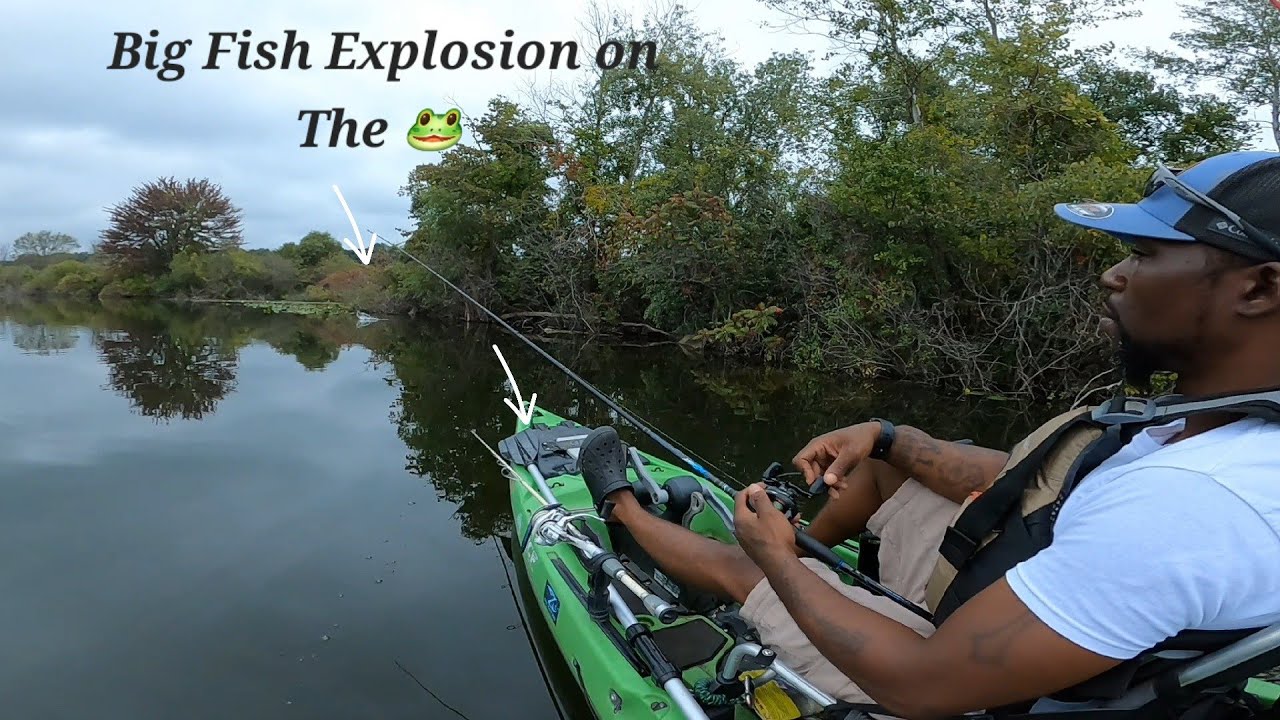 THE FROG DOES IT AGAIN!!! - YouTube