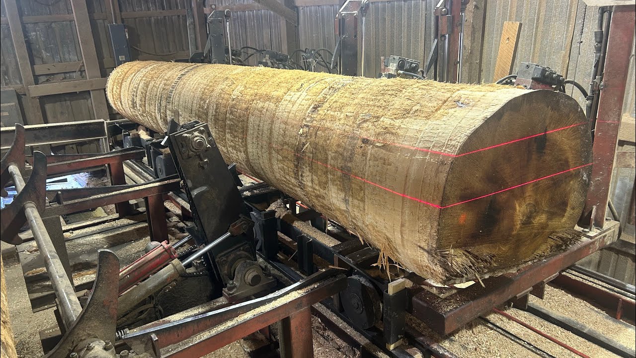 An Hour of Saw-Milling the Most Popular Poplar!! #201 - YouTube