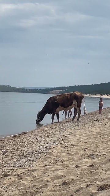 Сарайский пляж Байкал Youtube