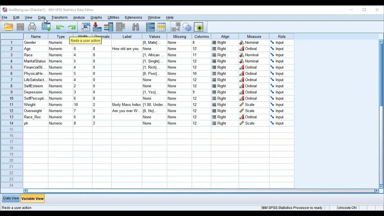 SPSS Syntax - YouTube