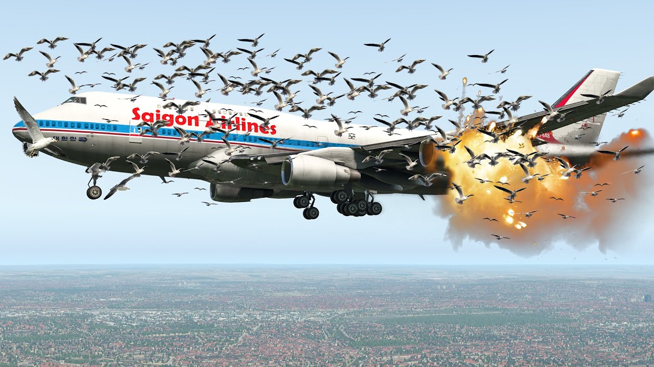 MASSIVE BIRD STRIKE ATTACK BOEING 747 CAUSING IT CRASH - YouTube