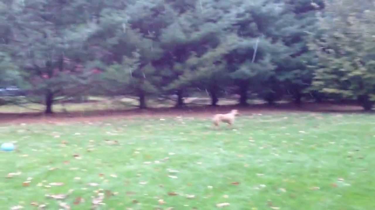 First snow in Malta NY 10/30/2013 - YouTube