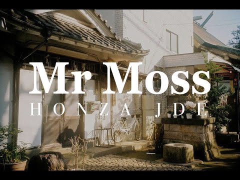 Mr. MOSS - HONZA JDE (Official Music Video) - YouTube