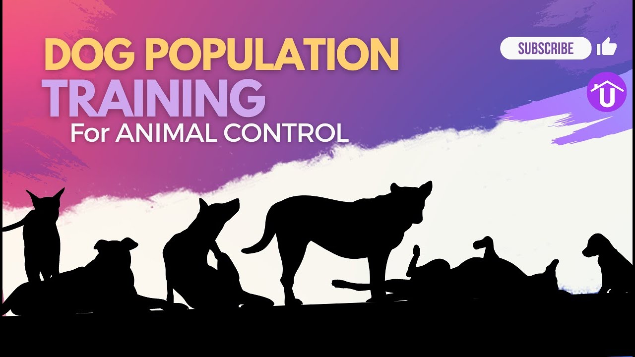 Dog Population Dynamics for the Animal Control Officer - YouTube