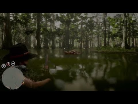 RDR2 - Legendary Sun Gator Hunt - YouTube