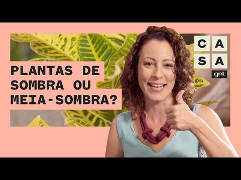 Carol Costa dá dicas para PLANTAS DE SOMBRA, GRAMA, PAINEL VERTICAL e LÍRIO-DA-PAZ | S.A.V.E.