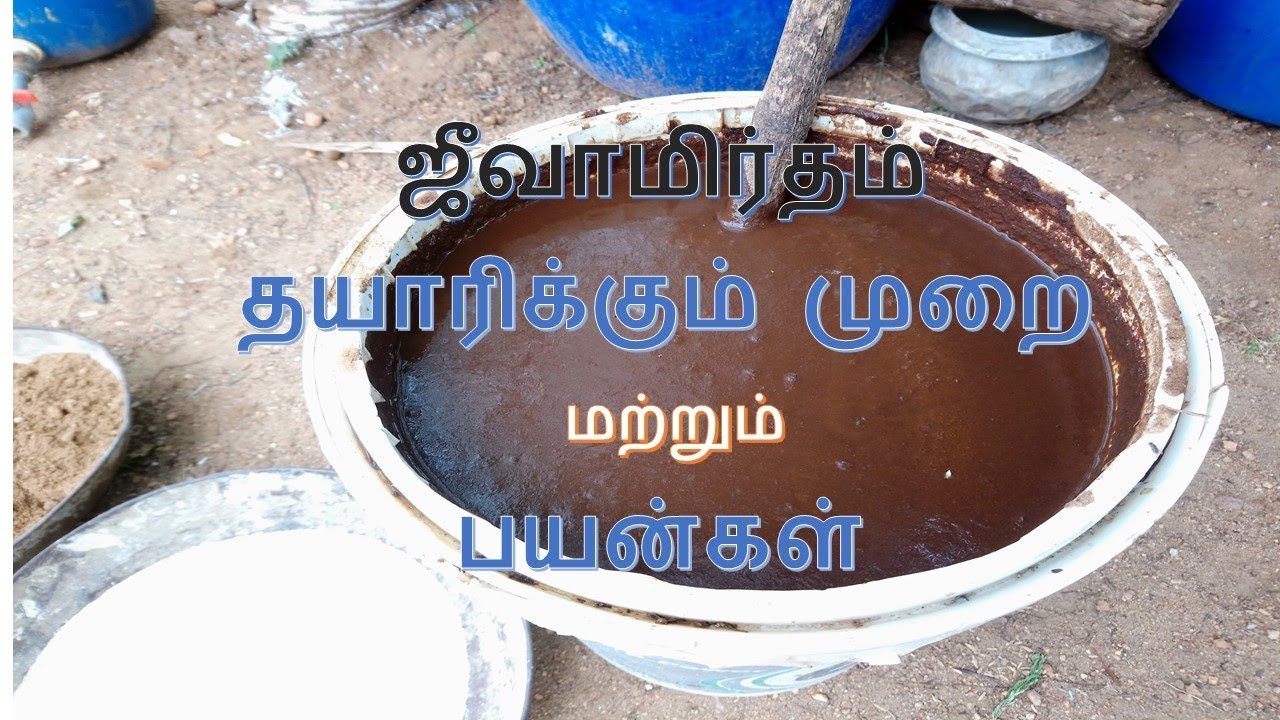 ஜீவாமிர்தம் தயாரிக்கும் முறை மற்றும் பயன்கள் | How to Prepare ...