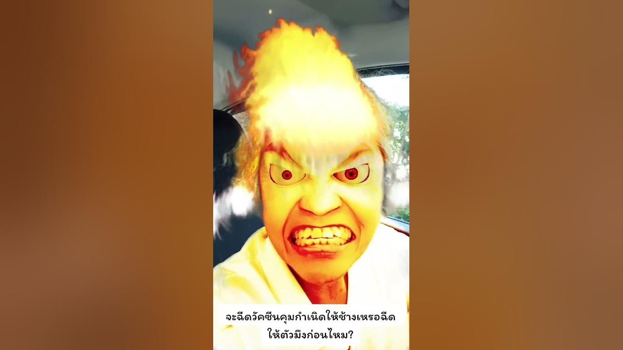 ทดลองฉีดวัคซีนทำหมันให้พวกมึงก่อน แล้วค่อยไปฉีดให้ช้าง โกรธโว้ย Youtube