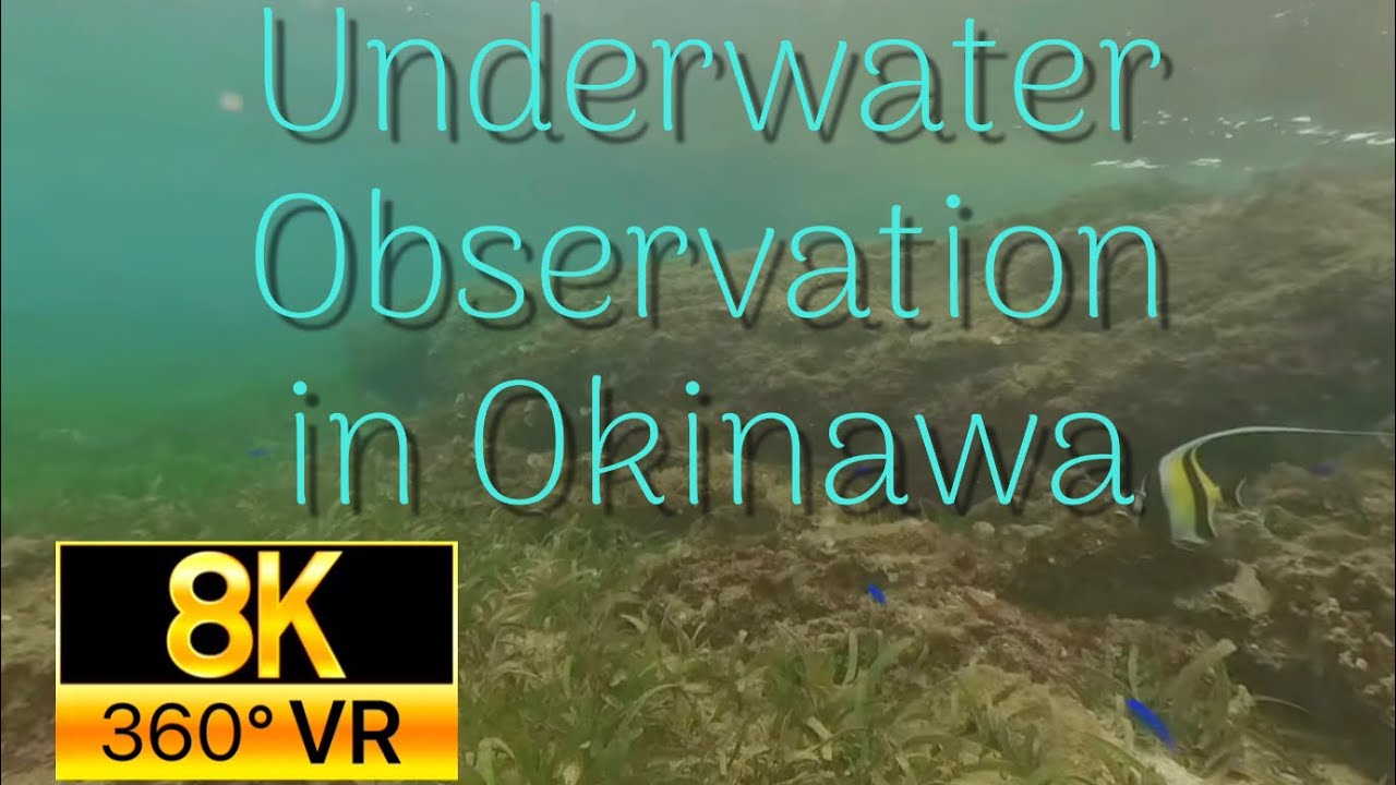Underwater Observation 360 Degrees in the beautiful waters of Okinawa ...