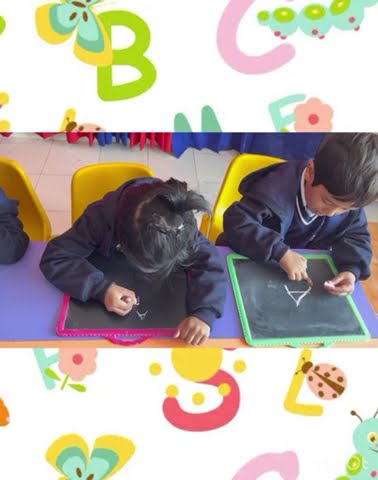 "Creative learning in action! 🎨 Watch our little ones explore the world of chalk and slate ...