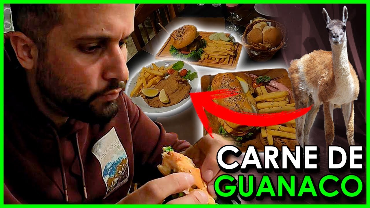 Probamos CARNE DE GUANACO en CALAFATE *POR PRIMERA VEZ* 🇦🇷 | Tp 2 CAP ...