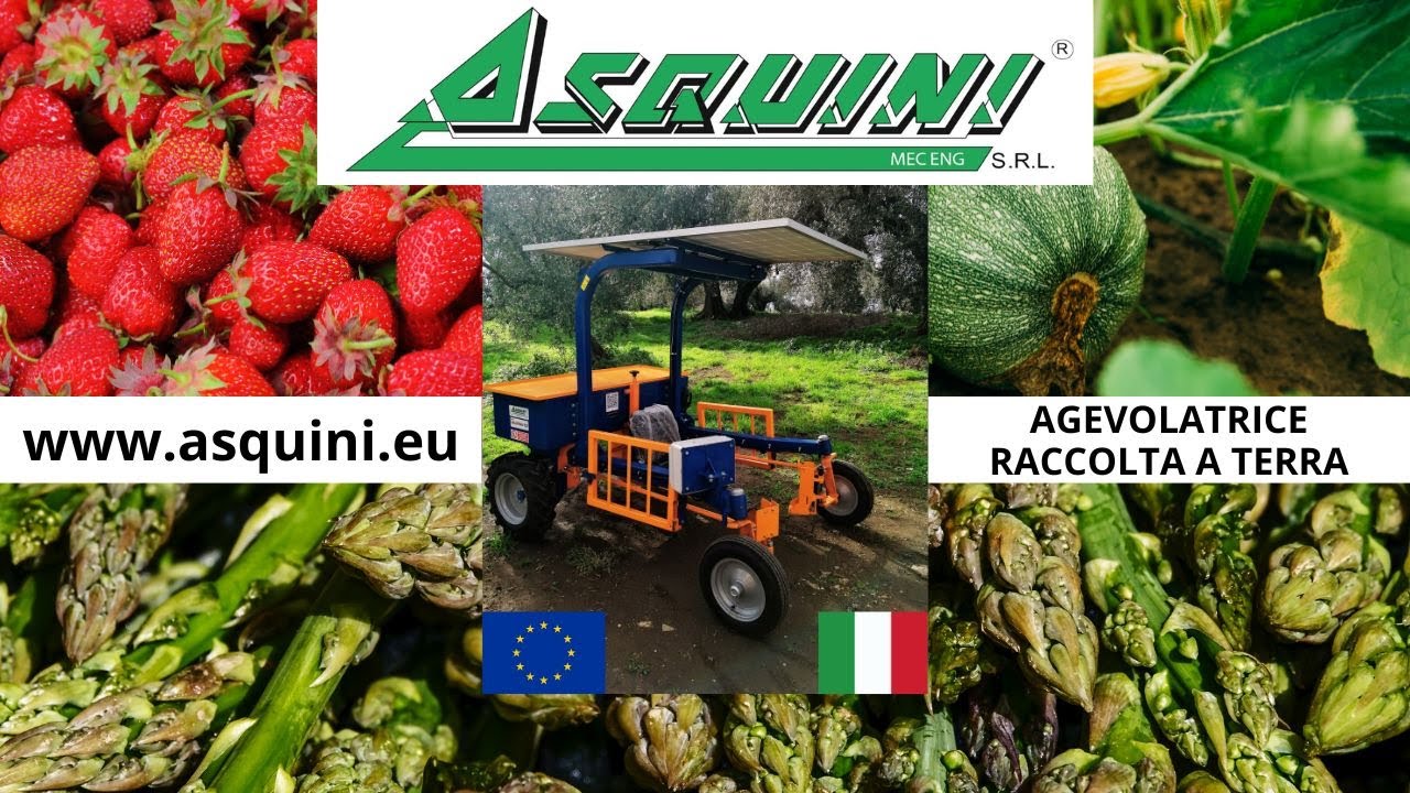 Macchina Agevolatrice raccolta a terra Asquini Mec Eng - YouTube