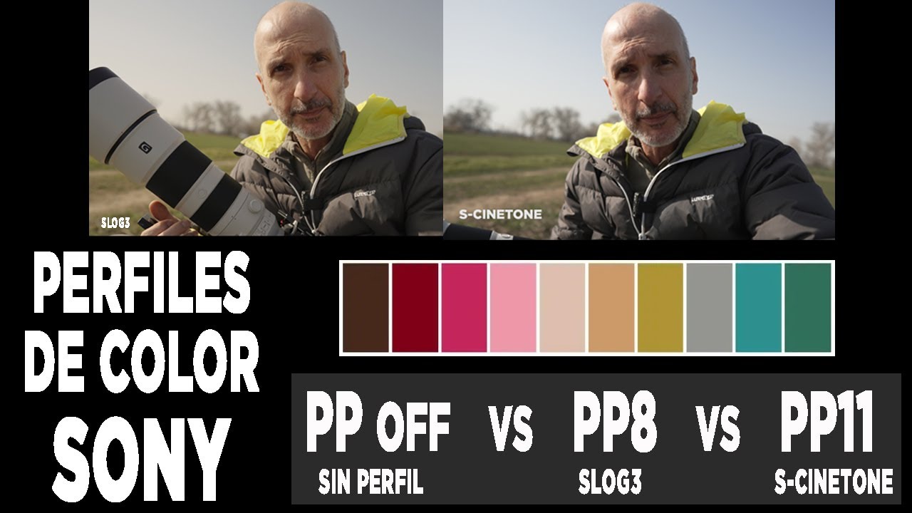 ¿Cuál es el MEJOR PERFIL de color de SONY A1 y A7iv en la naturaleza? 🎥 ...