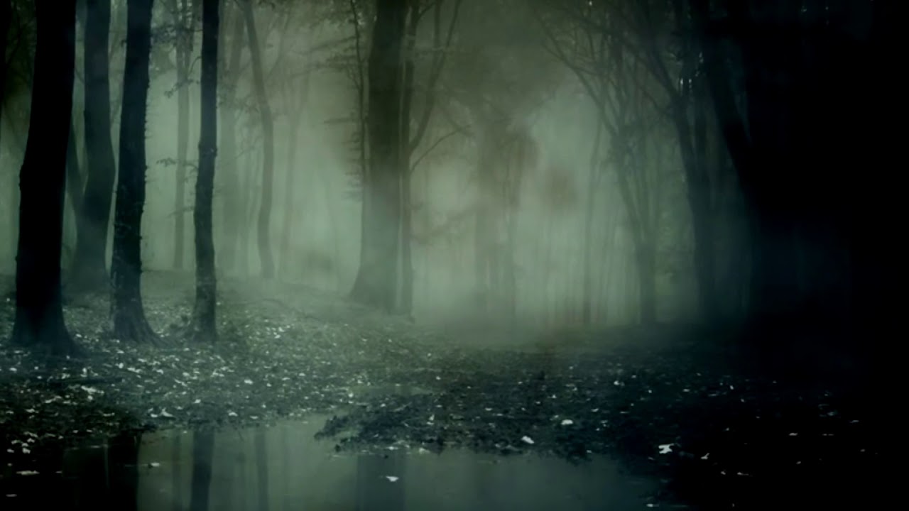 The Paranormal Guide - YouTube