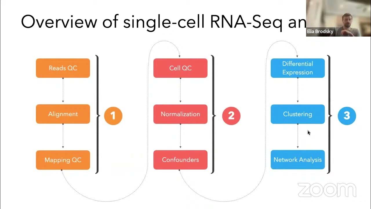 Single Cell Transcriptomics: Overview, Processing & Downstream Analysis ...