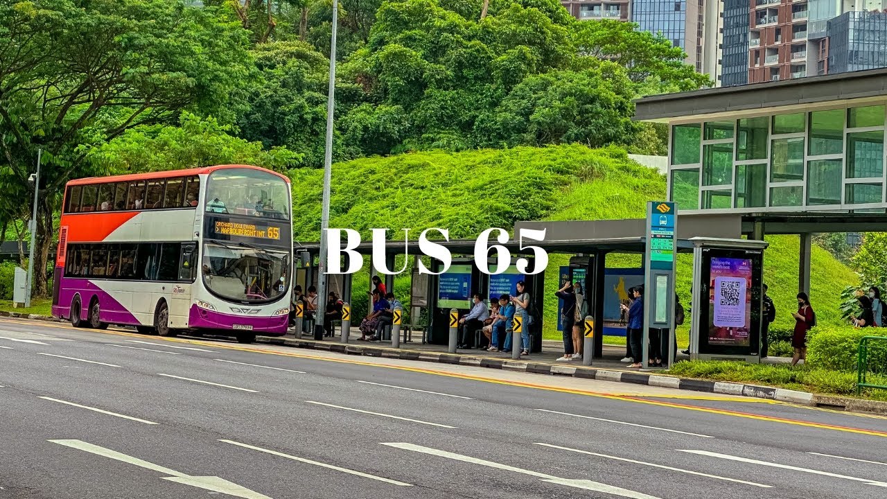 Singapore Bus Ride: SBS Transit 65 | Orchard To Harbour Front - YouTube