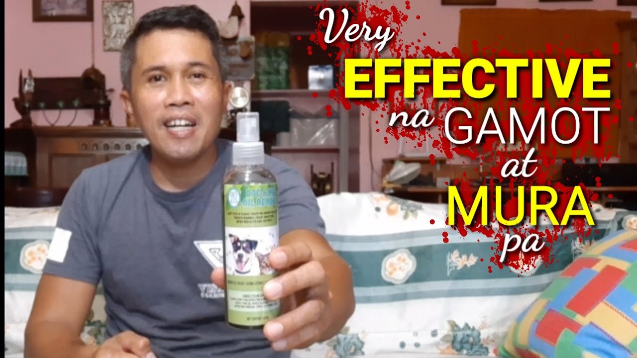 Mabisang Gamot Para Sa Galis o Skin Allergy Ng Aso At Pusa Na Mura Lang ...