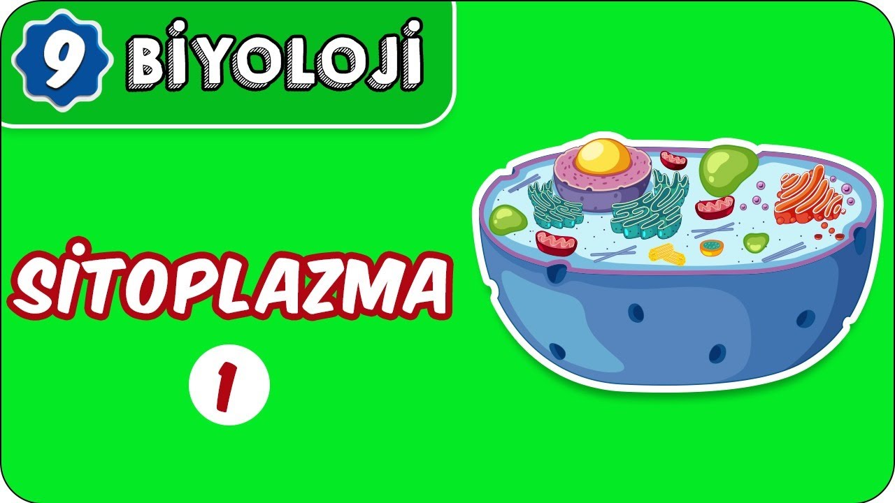 Sitoplazma-1 | 9.Sınıf Biyoloji - YouTube