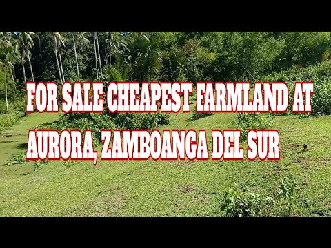 (Property# 37)@jopax7576 ,@Ranie Charcos Cheapest Farmland For Sale in Aurora, Zamboanga del Sur ...