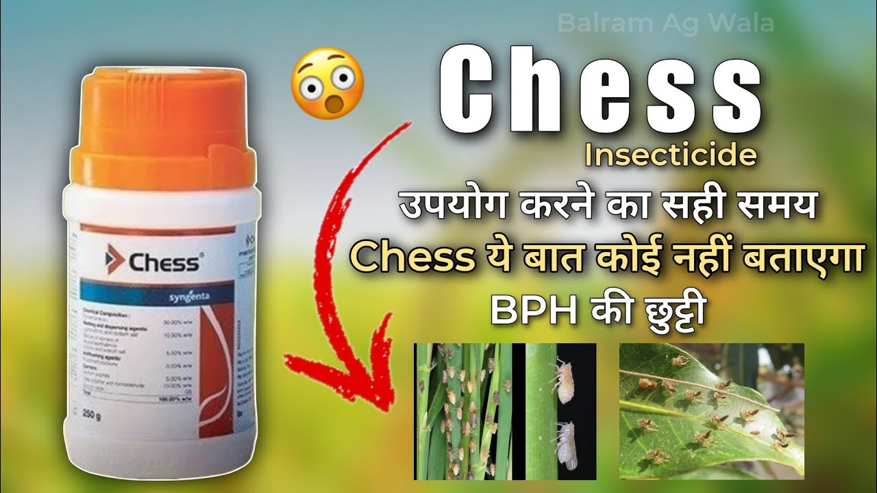 chess insecticide syngenta | सम्पूर्ण जानकारी | चेस कीटनाशक सिंजेंटा ...
