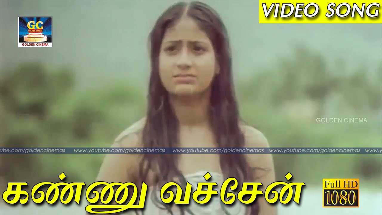 கண்ணு வச்சேன் | Kannu Vachen |SN.Surendhar | Vani Jairam | Shankar ...