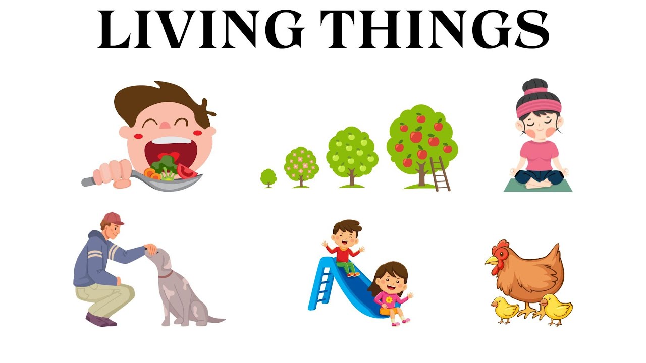 Living Things | EVS for Kids|Environmental Science|What are living ...